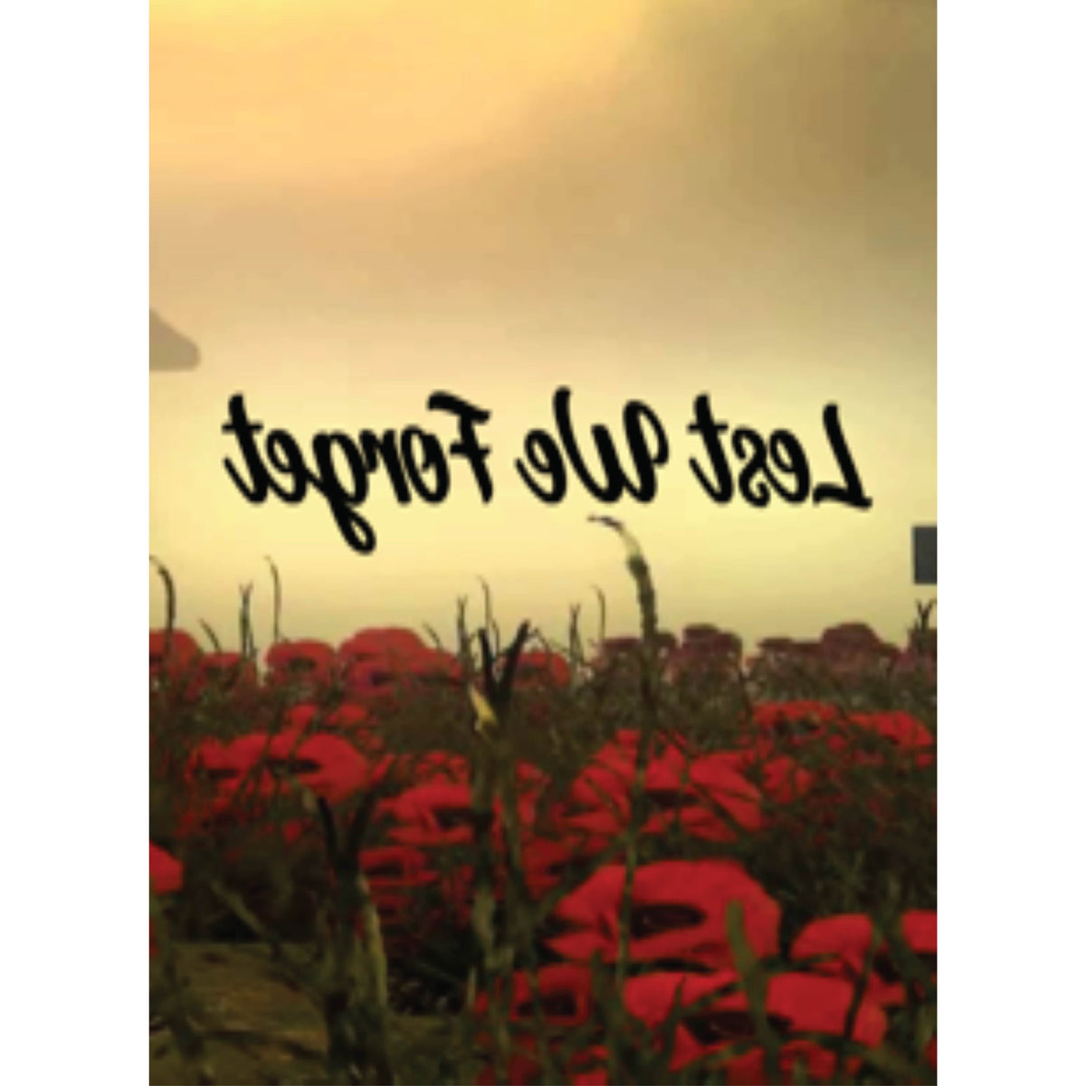 Remembrance Day Poppy Field – TUDIWRAP