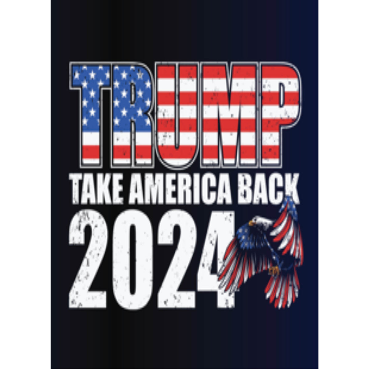 Take America Back – TUDIWRAP